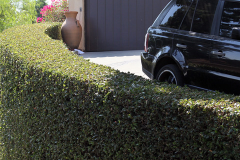 Foto Della Morte Di Johnny Lewis John Lewis “Bad Lewis” Hall