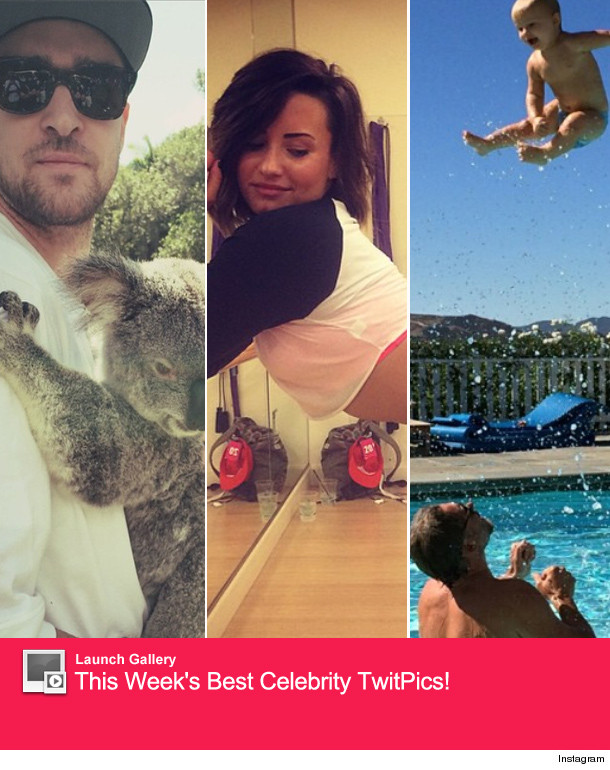 This Week's Best Celebrity TwitPics! | toofab.com