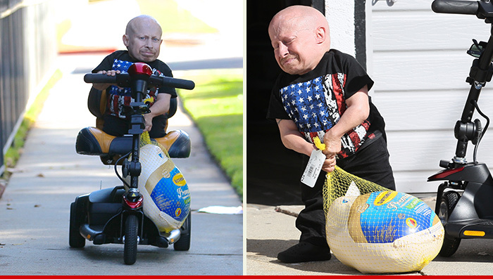 Verne Troyer -- One Helluva Butterball (PHOTO) | TMZ.com